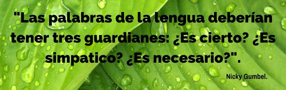 Frases Sobre El Poder De La Lengua – Expande Tu Mente