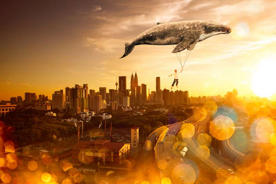 70 Frases Para Perseguir Tus Sueños – Expande Tu Mente