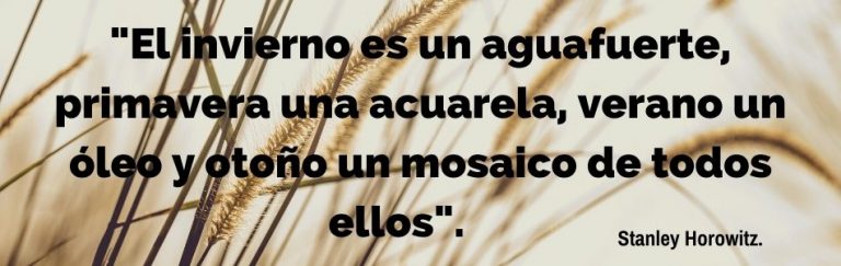 100 Inspiradoras Frases Sobre El Otoño – Expande Tu Mente