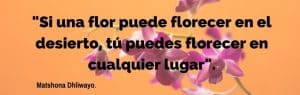 55 Frases Reflexión Sobre Florecer – Expande Tu Mente