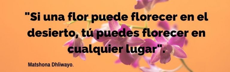 55 Frases Reflexión Sobre Florecer – Expande Tu Mente