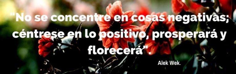 55 Frases Reflexión Sobre Florecer – Expande Tu Mente