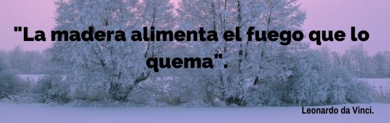 50 Mejores Frases Sobre La Madera – Expande Tu Mente