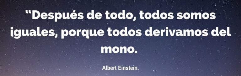 90 Mejores Frases Sobre Los Monos – Expande Tu Mente