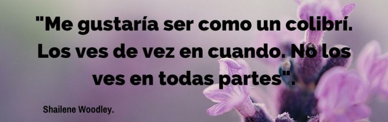 50 Mejores Frases Sobre El Colibrí – Expande Tu Mente