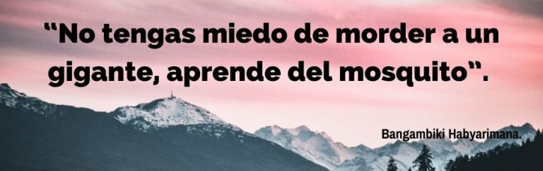 50 Mejores Frases De Mosquitos – Expande Tu Mente