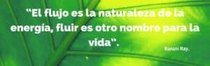 70 Frases De Reflexión Sobre Fluir – Expande Tu Mente