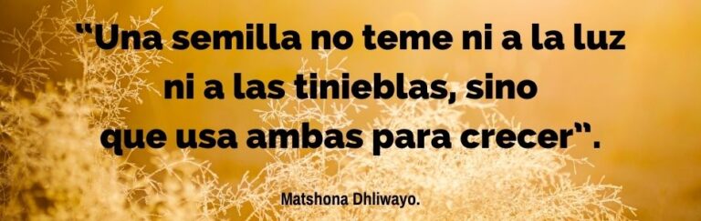 74 Frases De Reflexión Sobre Las Semillas – Expande Tu Mente