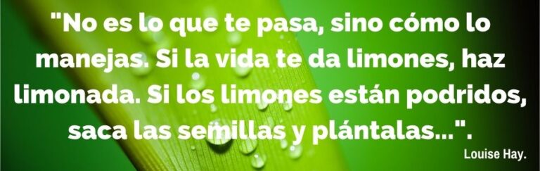70 Frases De Reflexión Sobre Limones – Expande Tu Mente