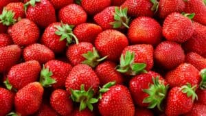 63 Mejores Frases Sobre Las Fresas – Expande Tu Mente
